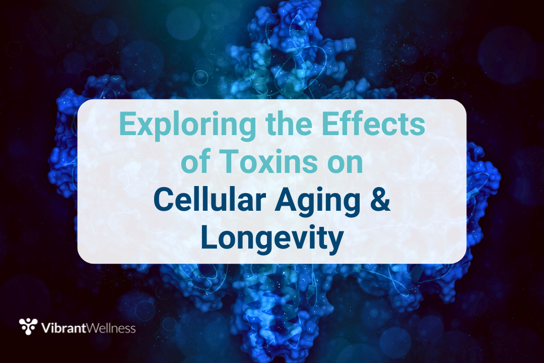 Exploring the Effects of Toxins on Cellular Aging & Longevity